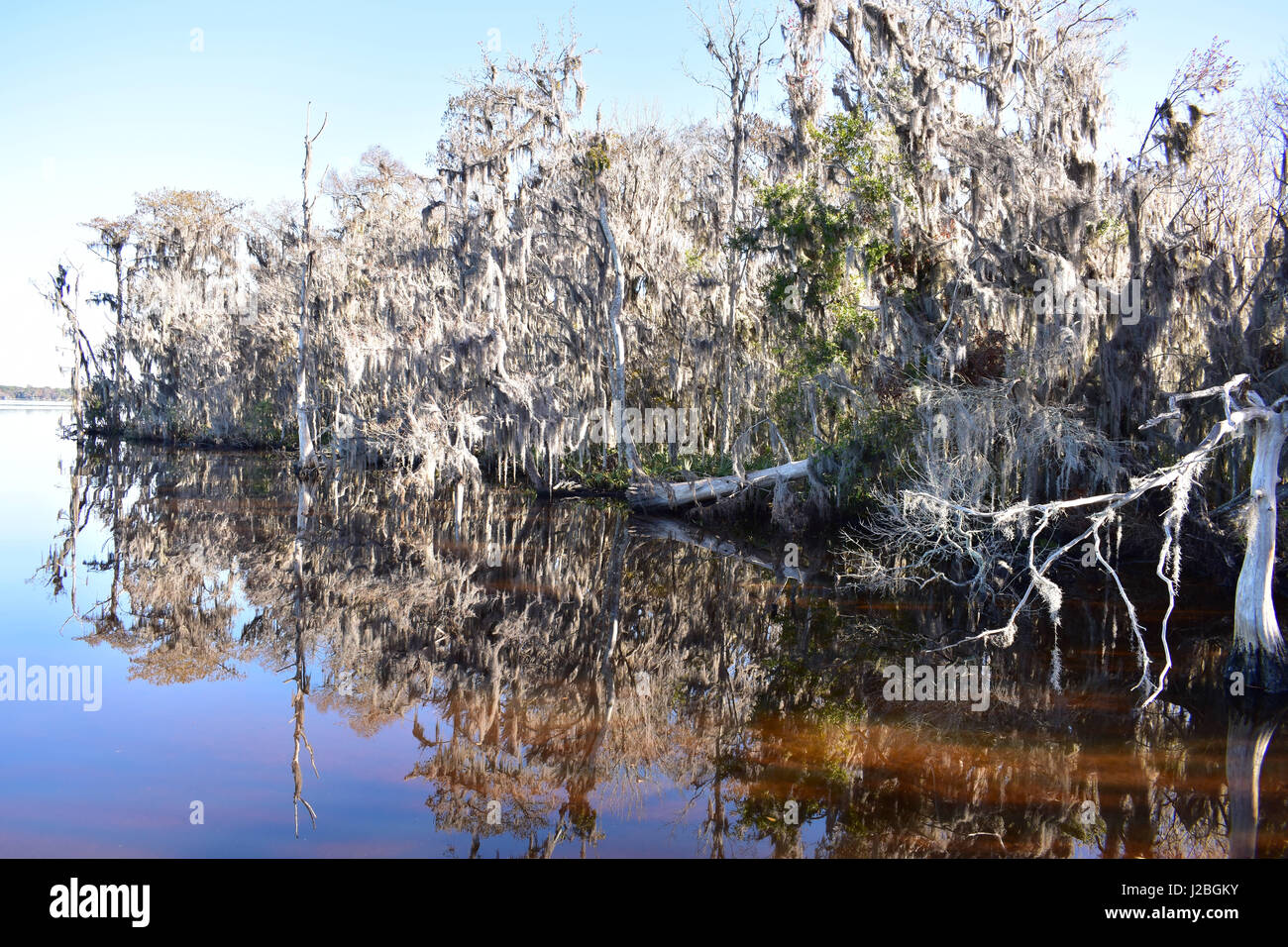 Pace Island Florida High Resolution Stock Photography and Images - Alamy
