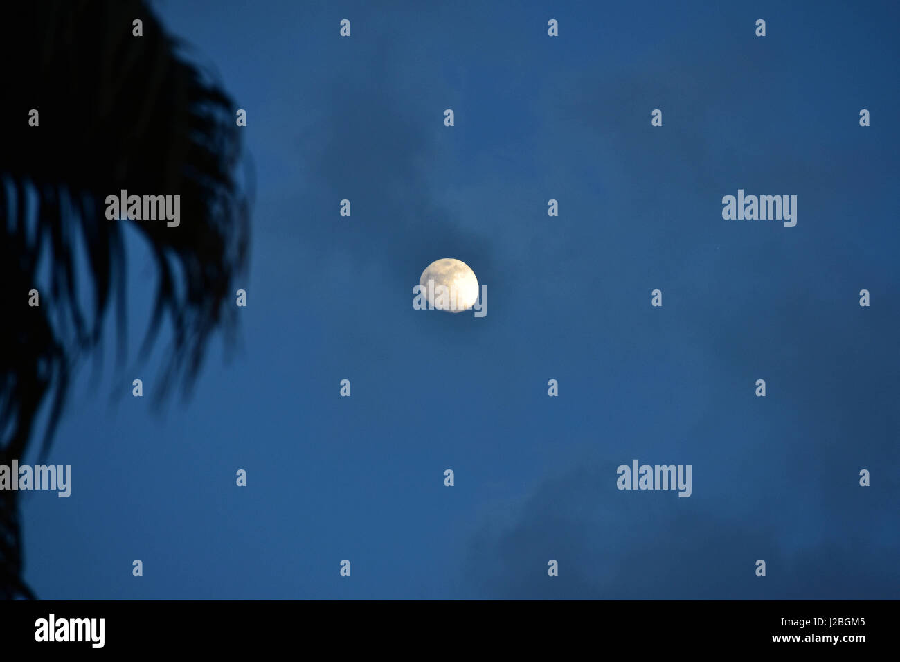 Pace island florida hi-res stock photography and images - Alamy