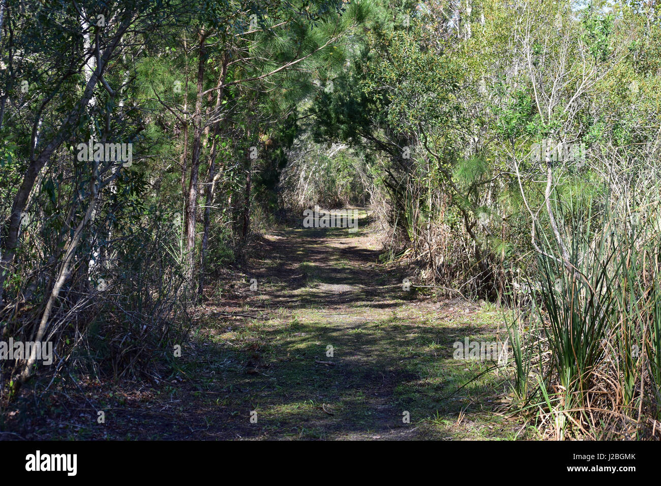 Pace island florida hi-res stock photography and images - Alamy
