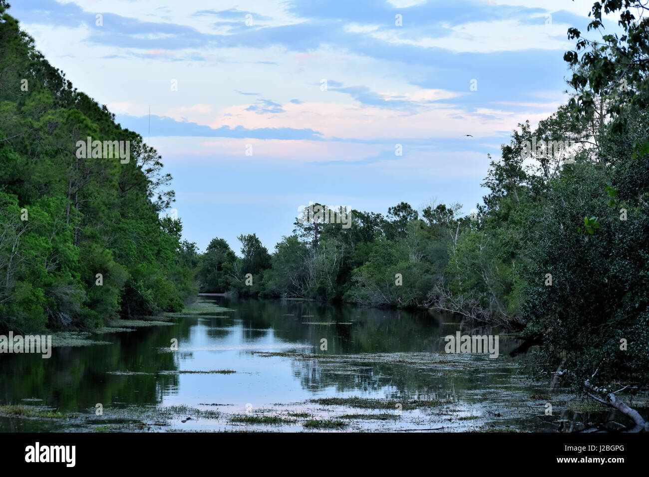 Pace Island View Stock Photo - Alamy