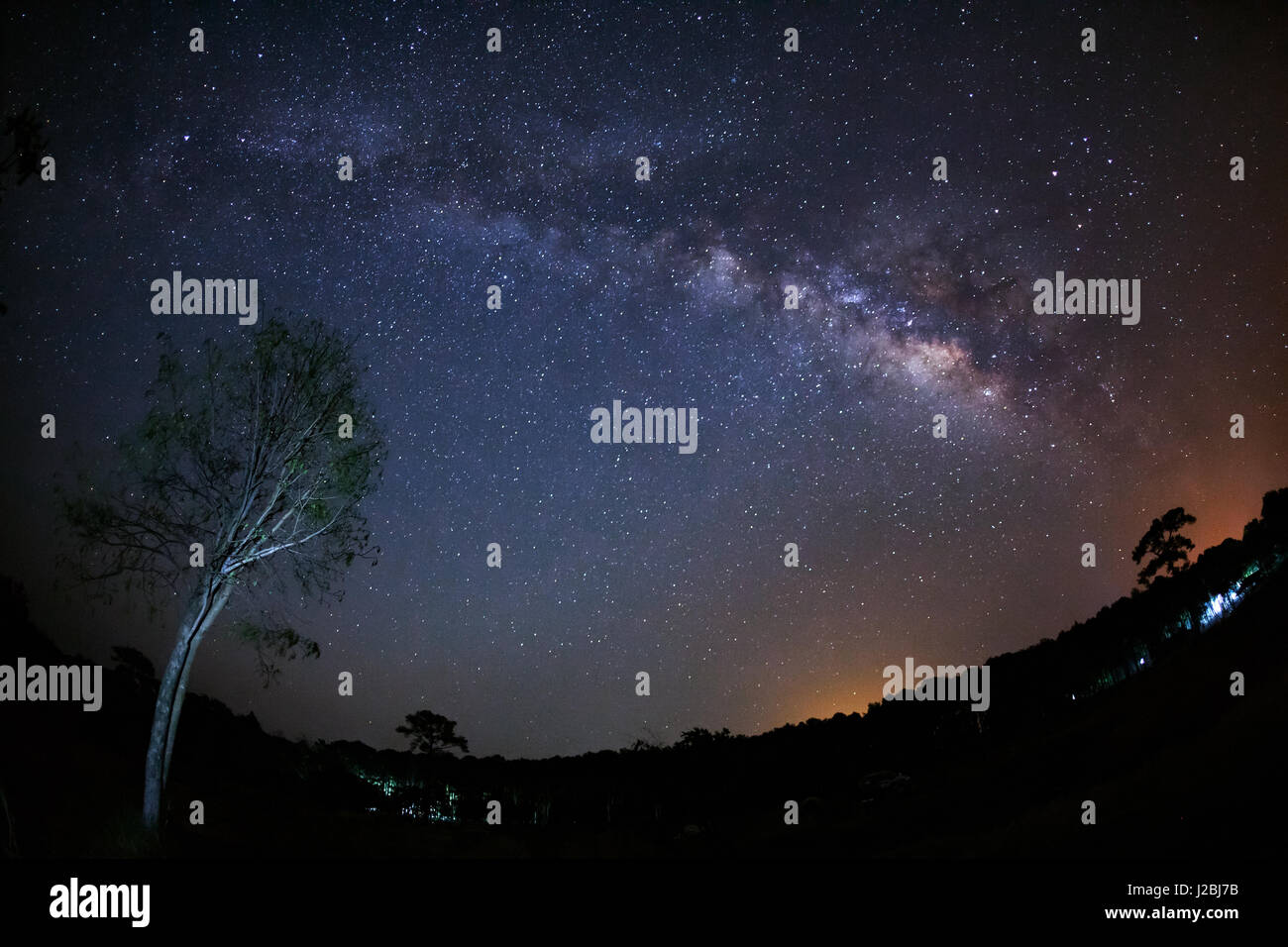 Milky Way Galaxy and Silhouette of Tree with cloud.Long exposure ...