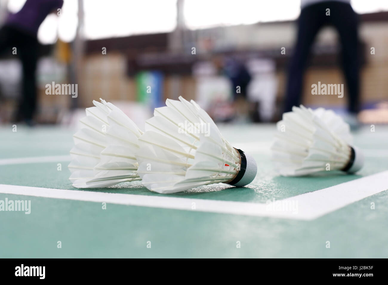 badminton - badminton courts with players competing; badminton ...