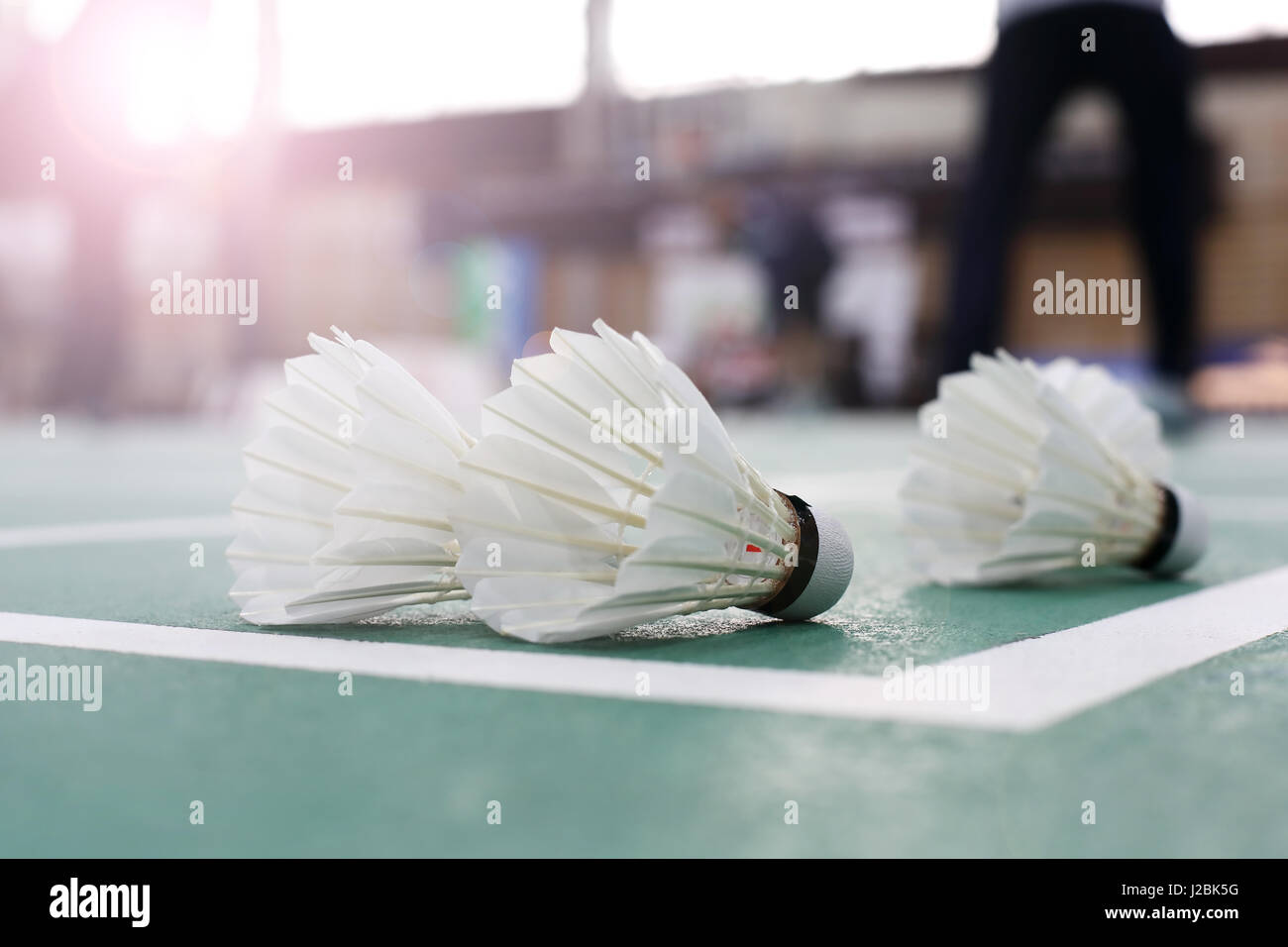 badminton - badminton courts with players competing; badminton ...