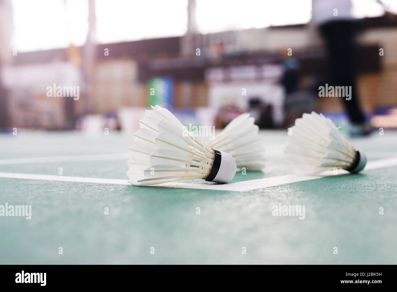 badminton - badminton courts with players competing; badminton ...