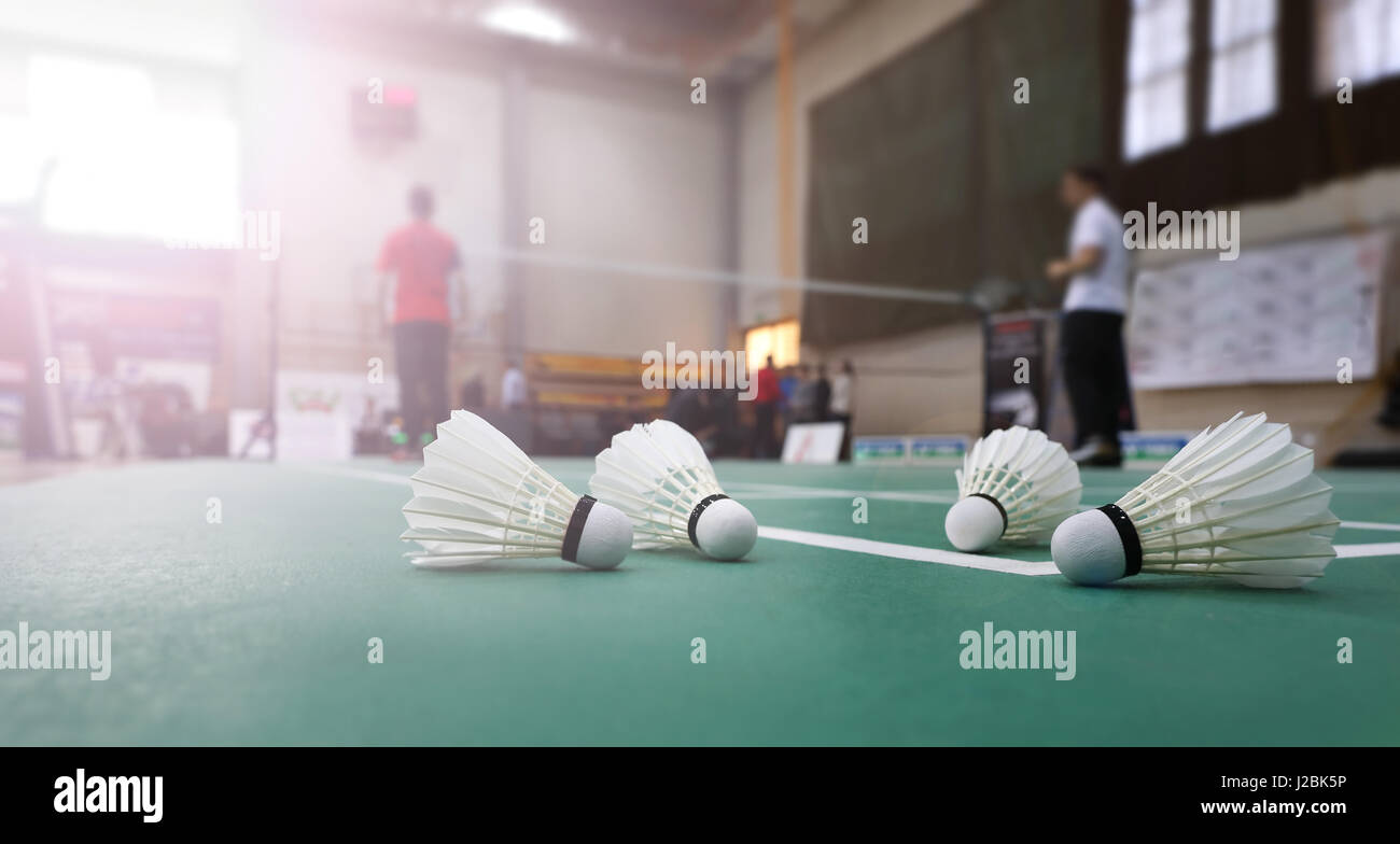 badminton - badminton courts with players competing; badminton ...