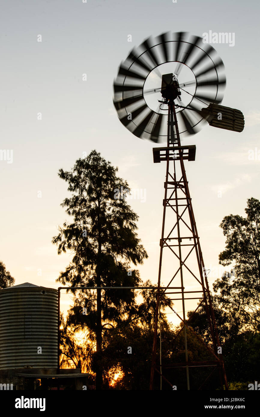 Cattle at water windmill hi-res stock photography and images - Alamy