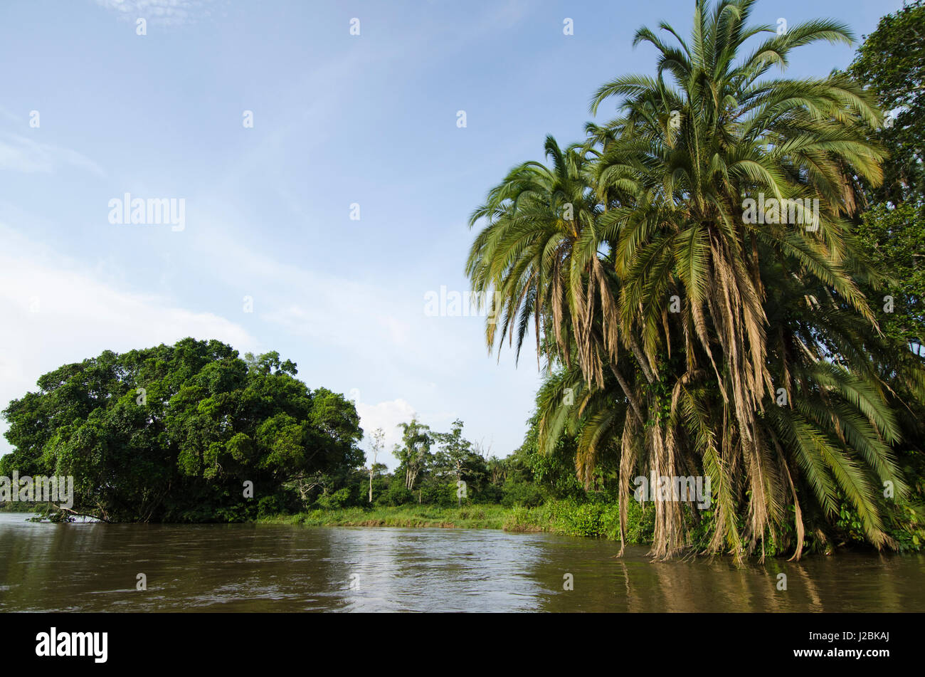 Scenic Lekoli River, Congo Stock Photo - Alamy