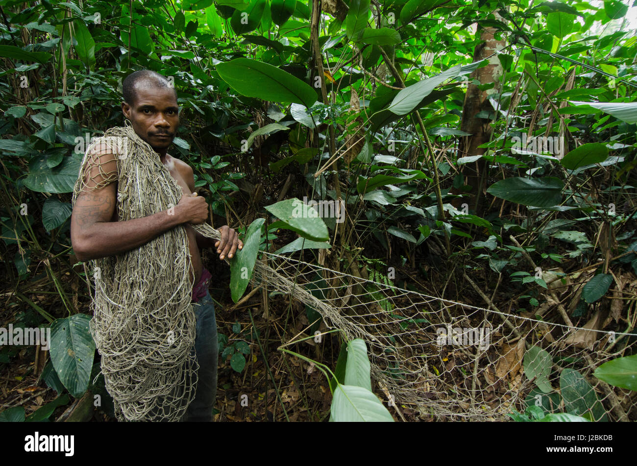 Ba'Kola Pygmy and duiker hunting nets, Mbomo, Odzala, Kokoua National ...