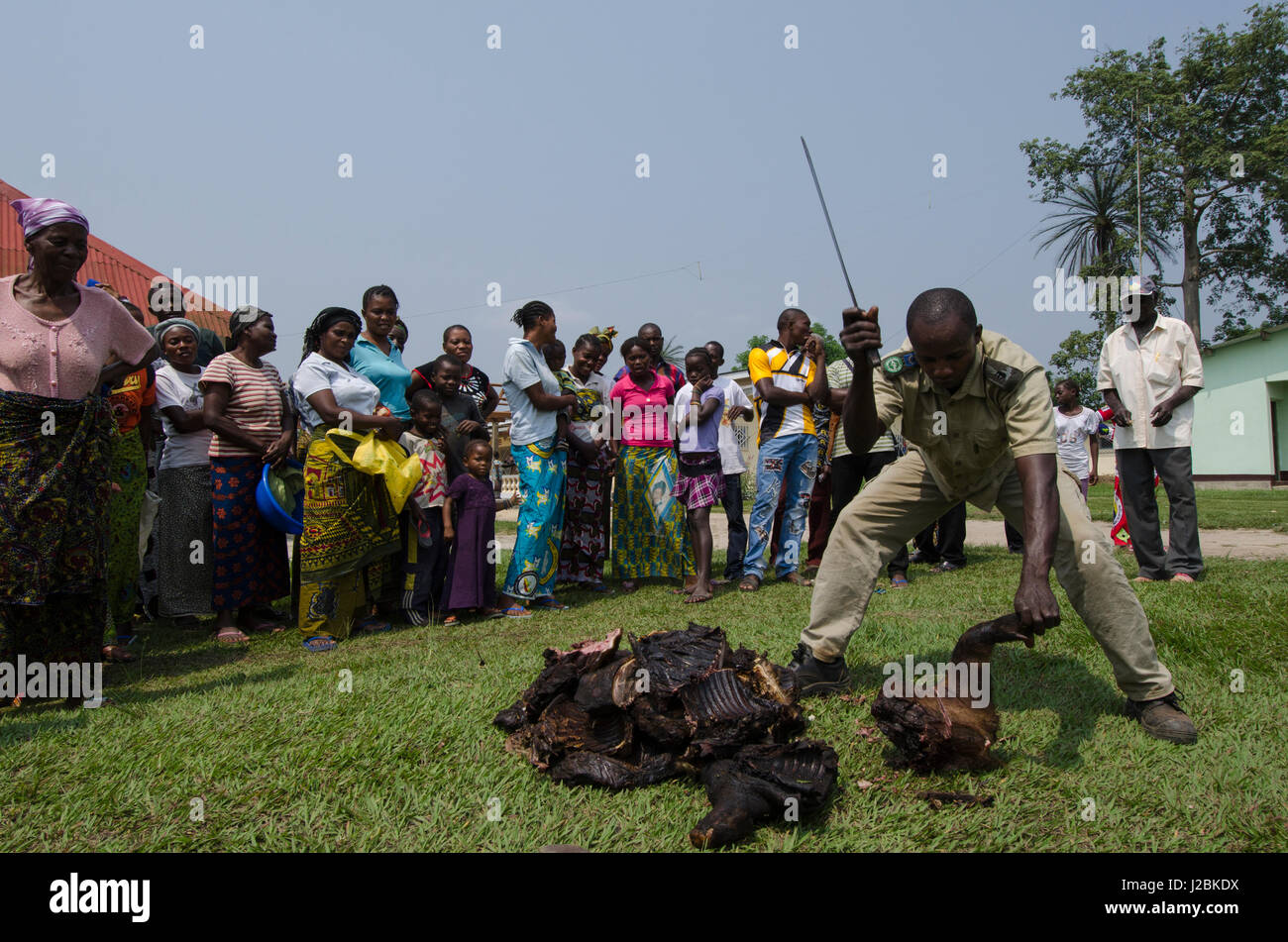 Distribution of confiscated bushmeat to hospital near Makoua, Congo ...
