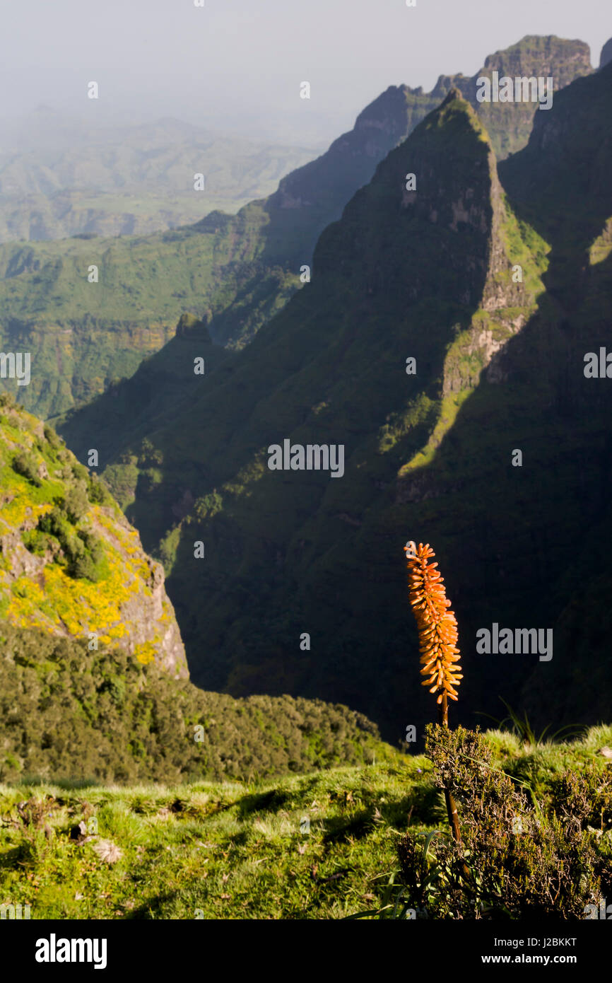 Ethiopian Highlands Mountains