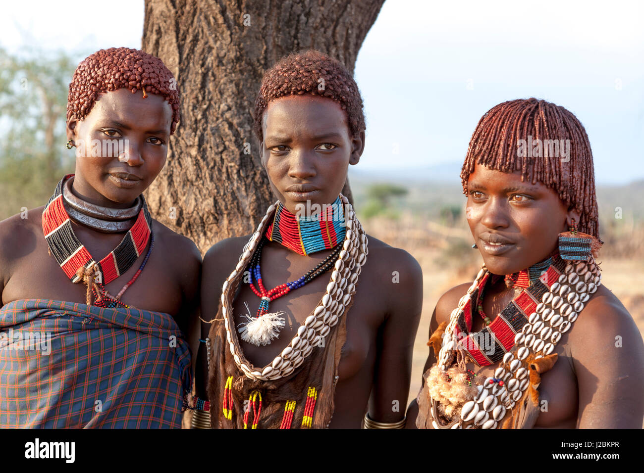 Africa, Ethiopia, Omo River Valley, South Omo, Hamer tribe. Portrait of ...