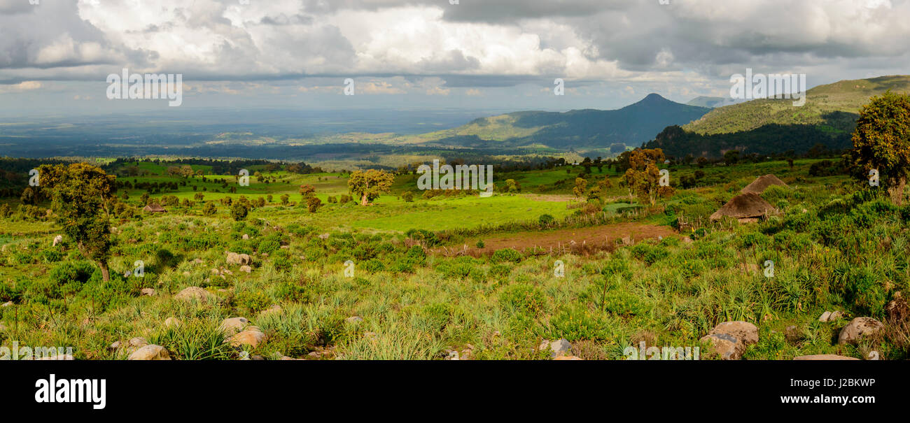 Bale Mountains National Park. Ethiopia Stock Photo - Alamy