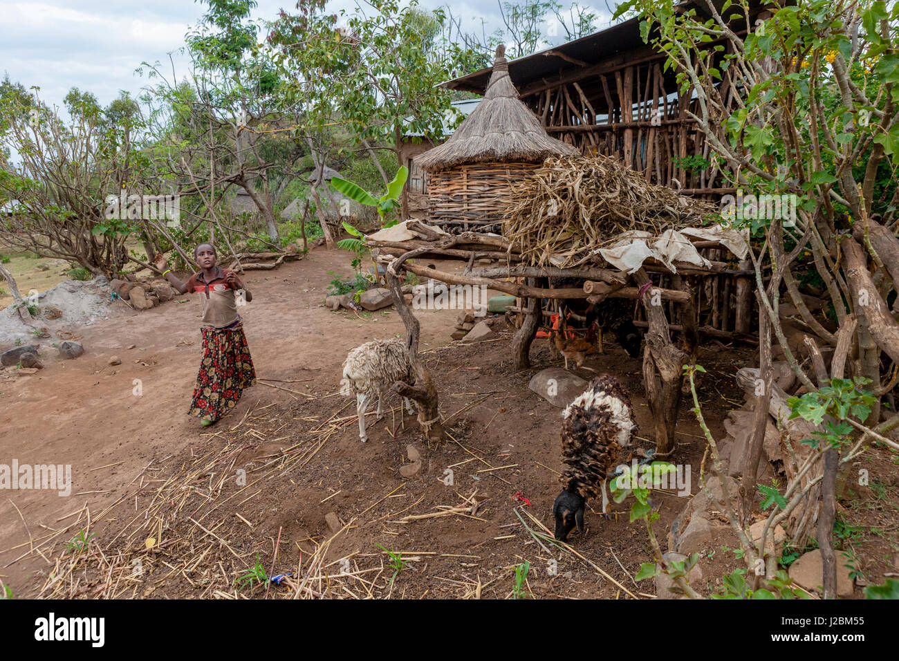 Compound family hi-res stock photography and images - Alamy