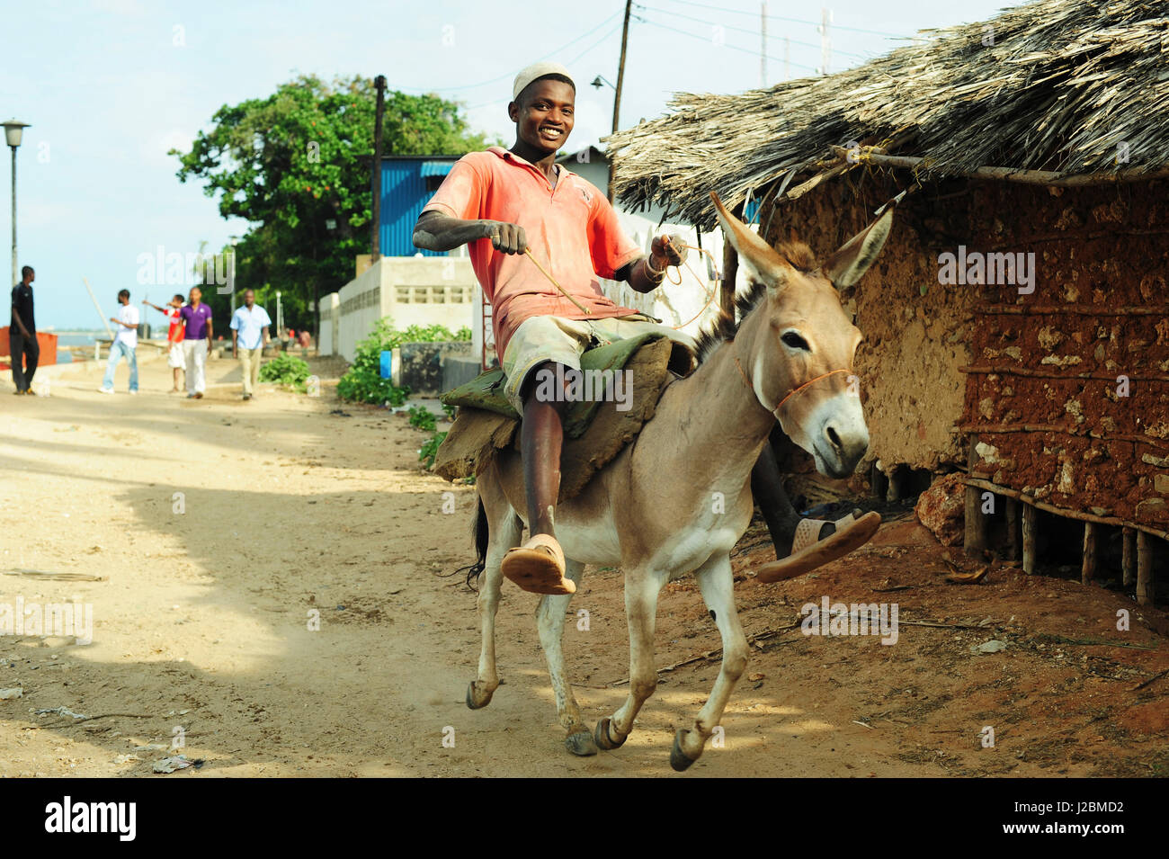 Kenya, Lamu archipelago, Lamu, man riding donkey Stock Photo - Alamy