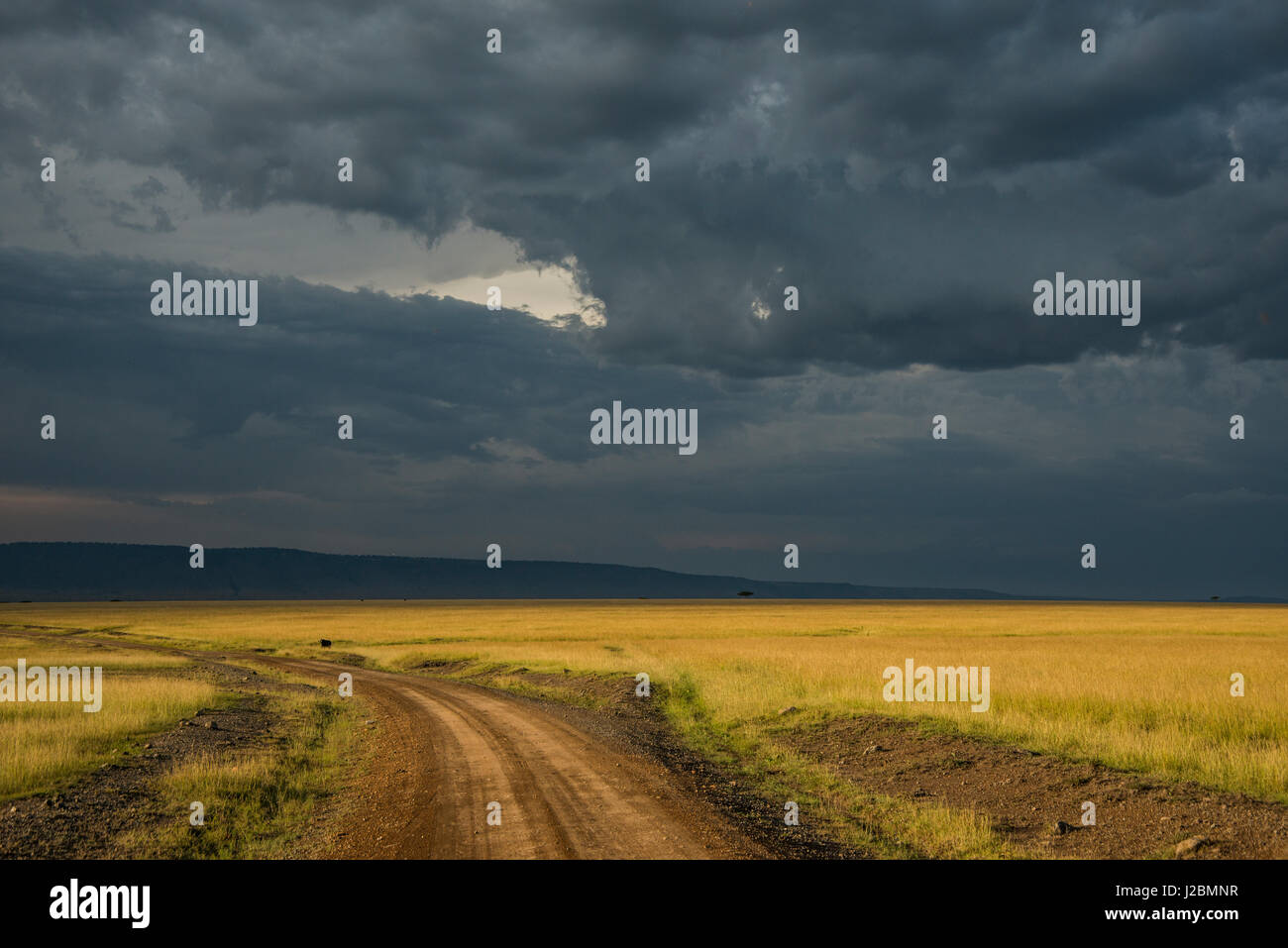 Africa, Kenya, Maasai Mara National Reserve, Mara Conservancy, Mara ...