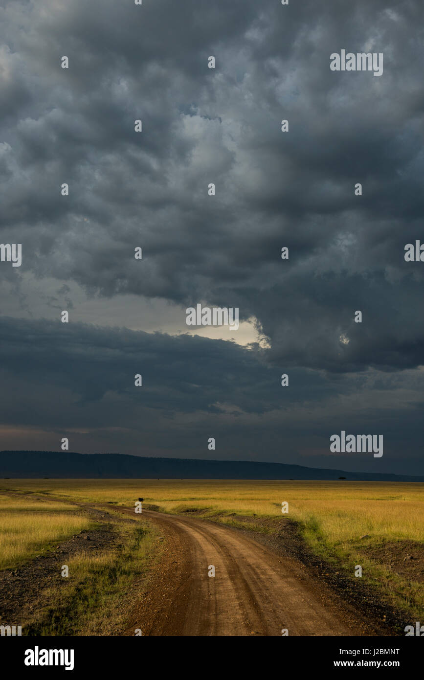 Africa, Kenya, Maasai Mara National Reserve, Mara Conservancy, Mara ...