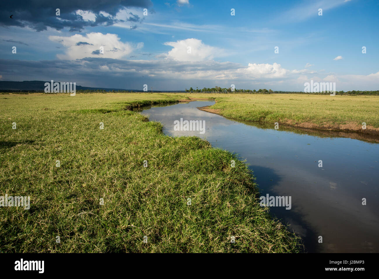Africa, Kenya, Maasai Mara National Reserve, Mara Conservancy, Mara ...