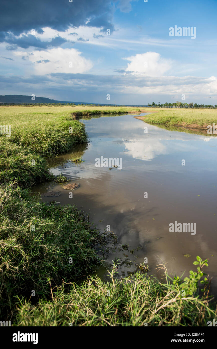 Africa, Kenya, Maasai Mara National Reserve, Mara Conservancy, Mara ...