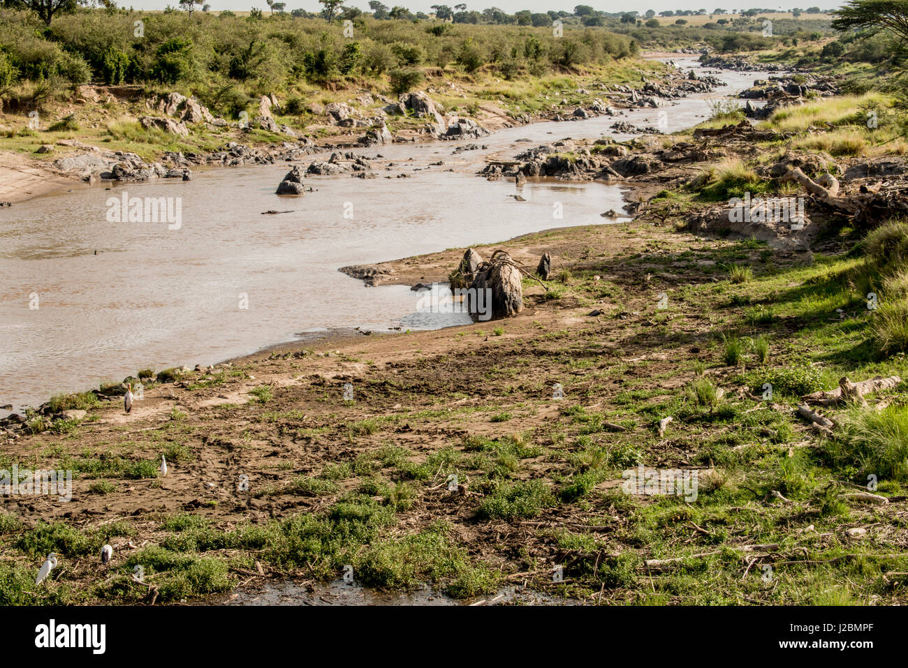 Africa, Kenya, Maasai Mara National Reserve, Mara Conservancy, Mara ...