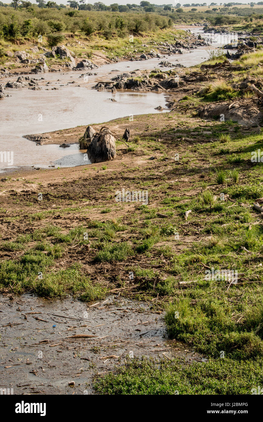 Africa, Kenya, Maasai Mara National Reserve, Mara Conservancy, Mara ...