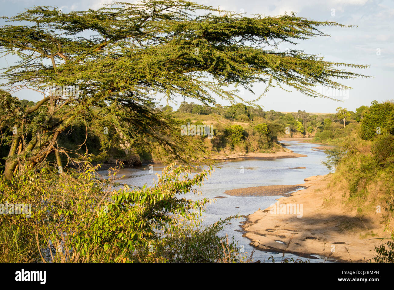 Africa, Kenya, Maasai Mara National Reserve, Mara Conservancy, Mara ...
