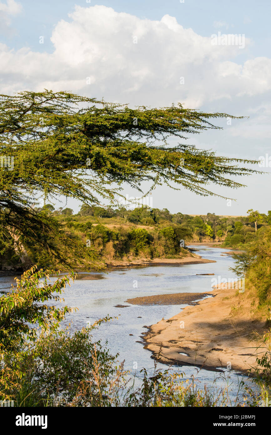 Africa, Kenya, Maasai Mara National Reserve, Mara Conservancy, Mara ...