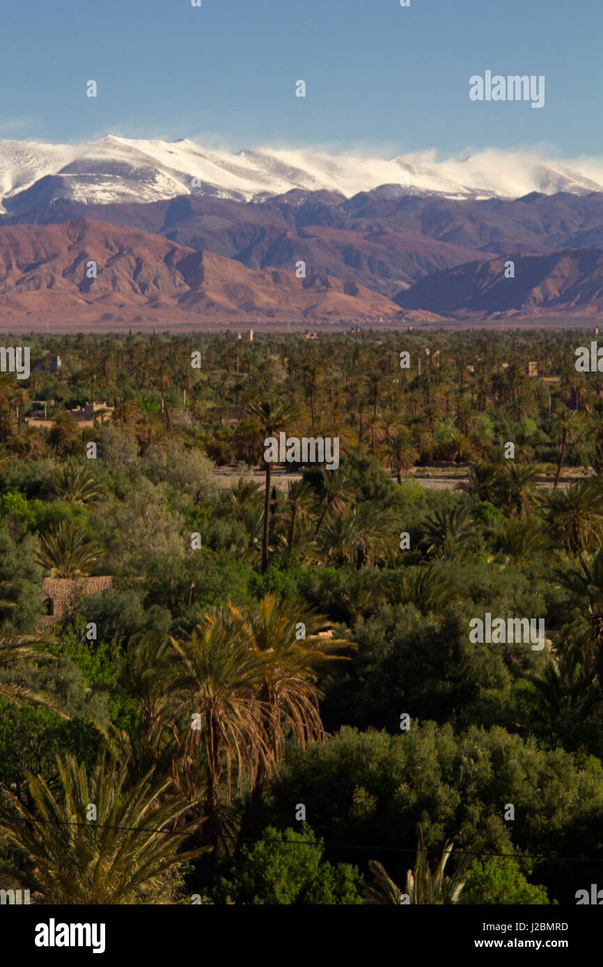 Morocco, Skoura. Landscape of Skoura oasis, with backdrop of snow ...
