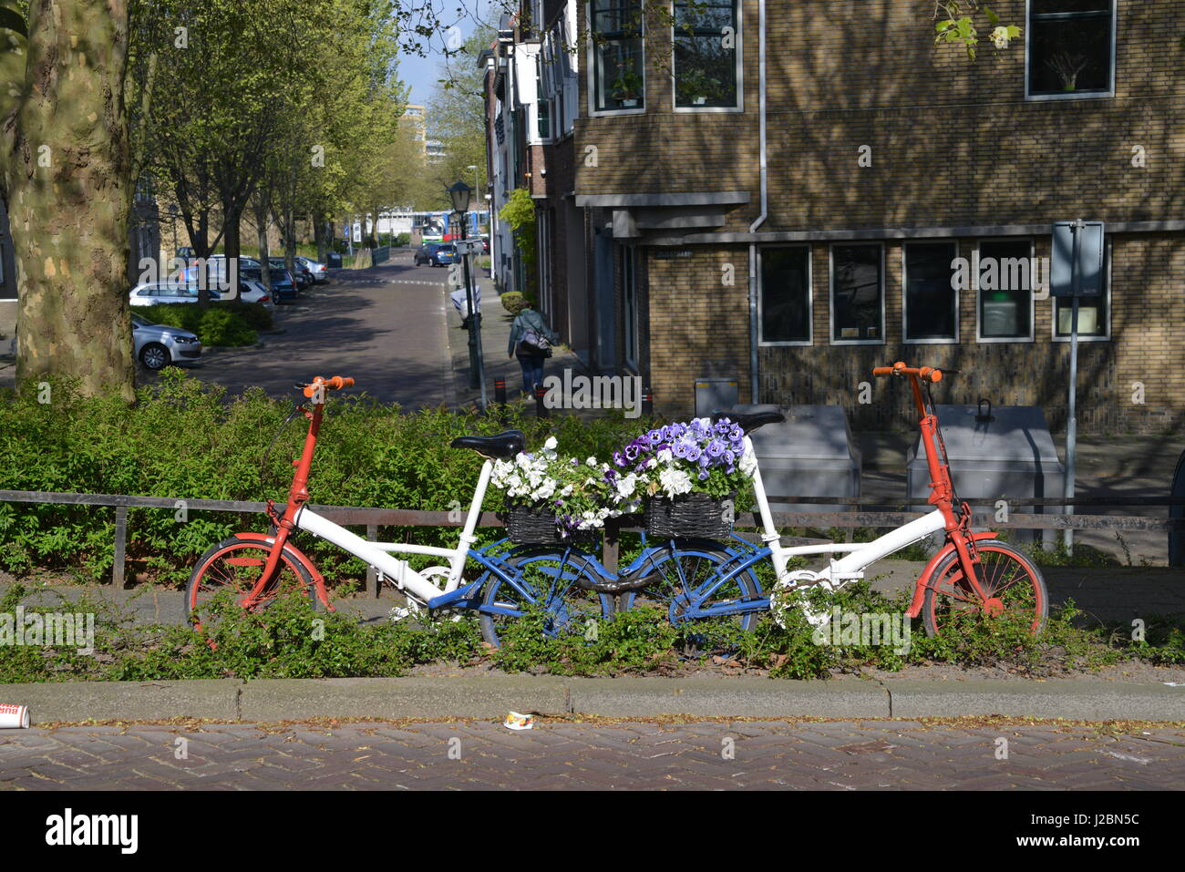 Dutch bikes painted with the dutch flag Stock Photo - Alamy