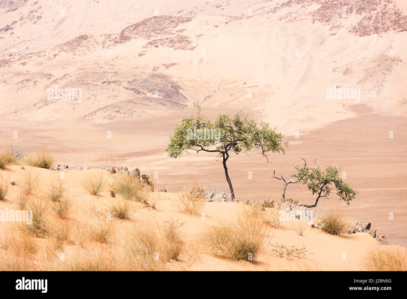 Hartmanns valley hi-res stock photography and images - Alamy
