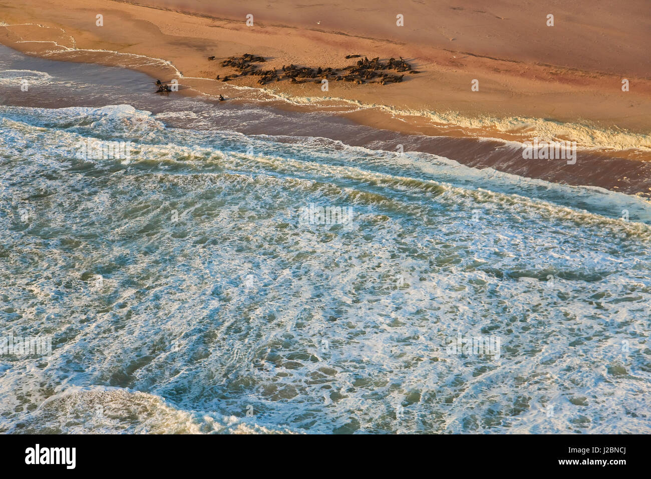 Aerial view of Skelton Coast, Namib Naukluft Nat Park, Namib Desert ...