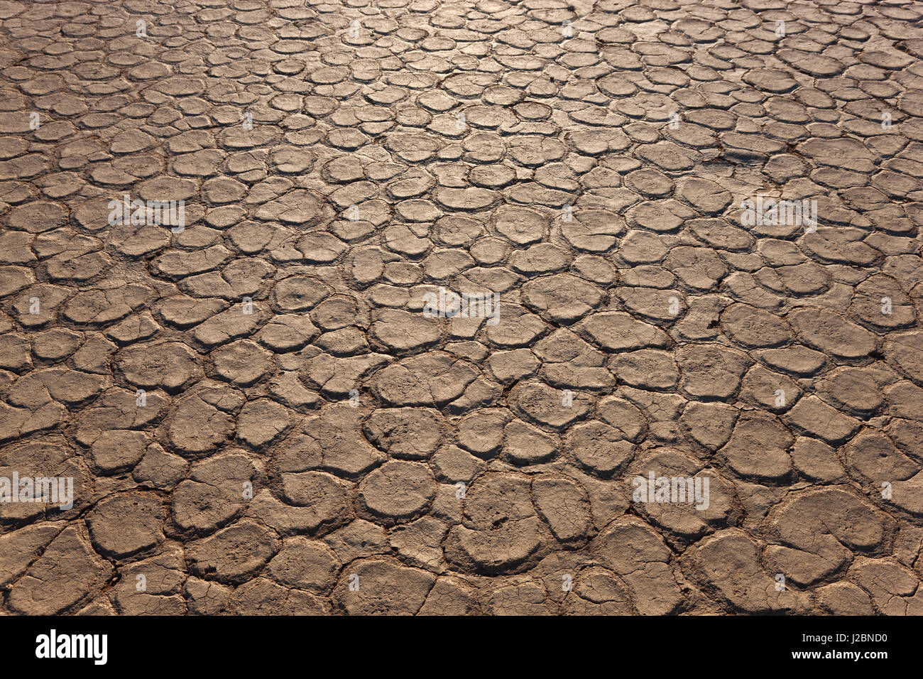 Clay adams hi-res stock photography and images - Alamy