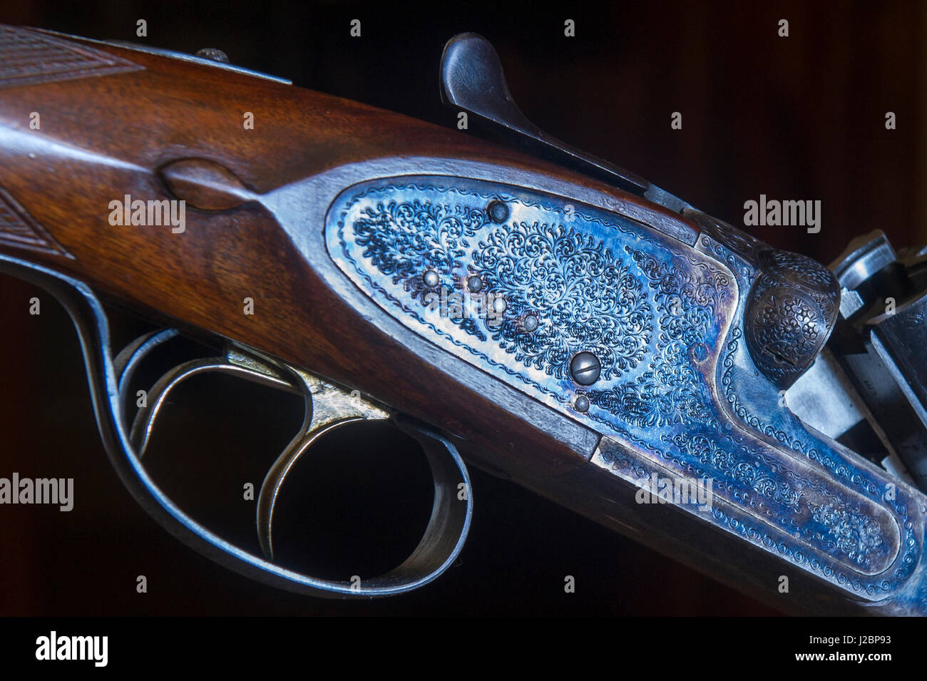 Shotgun, Private game ranch, Great Karoo, South Africa Stock Photo - Alamy