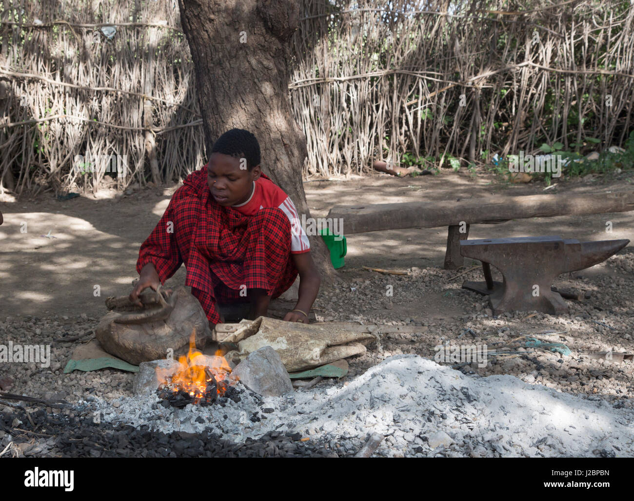 Africa, Tanzania. A member of the Datoga Tribe using a goat skin ...