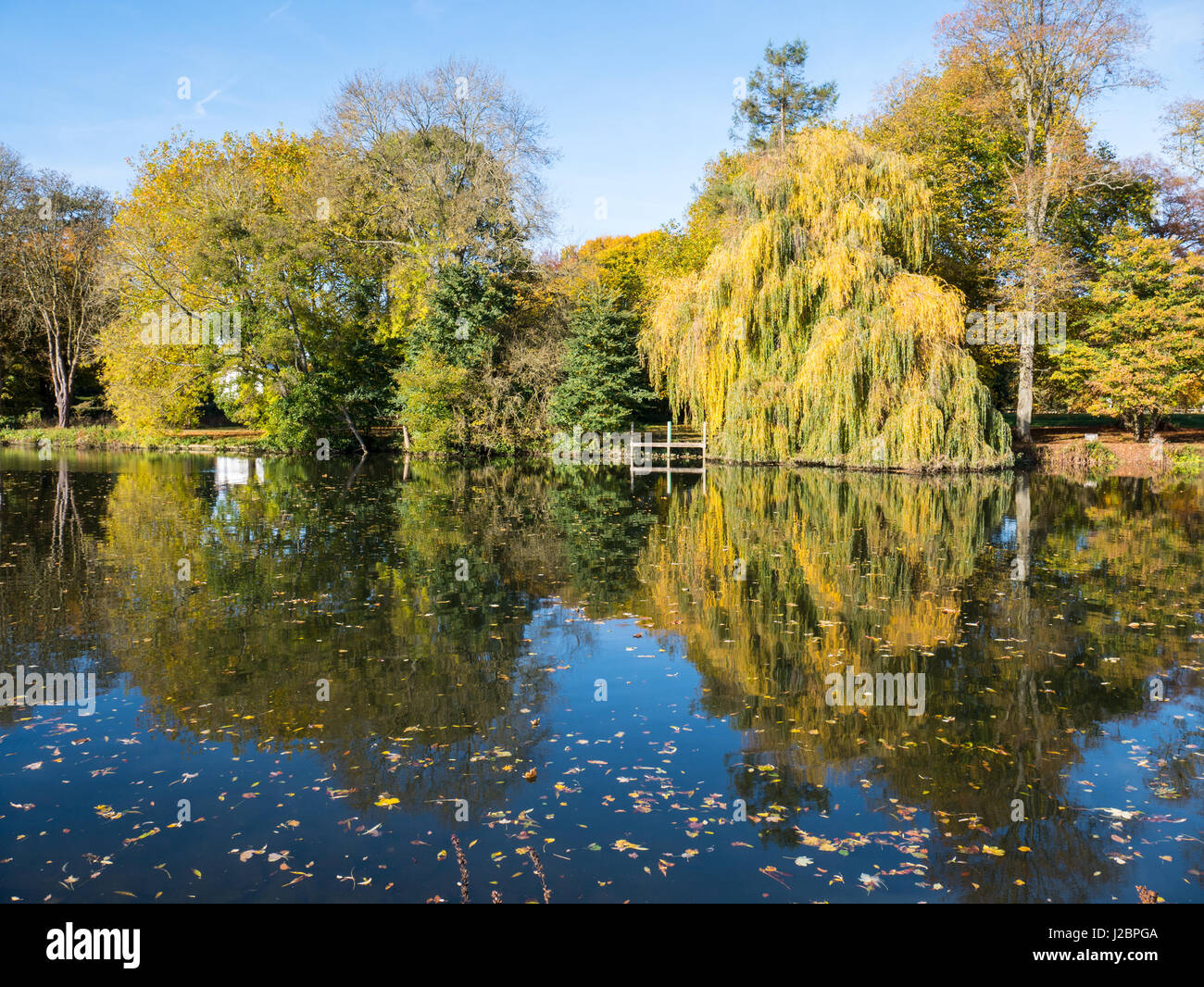 Riverside Tree Reflections, Pangbourne-on Thames, Reading, Berkshire ...