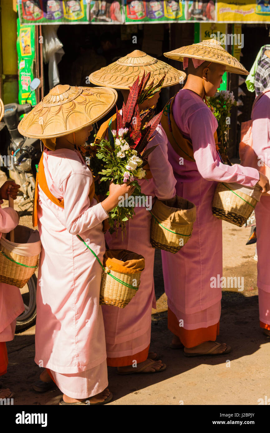 Myanmar. Shan State. Aung Pan market. Young Buddhist nuns collecting ...
