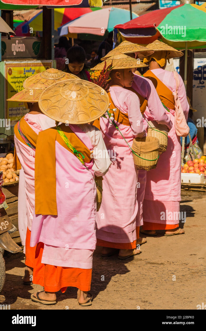 Myanmar. Shan State. Aung Pan market. Young Buddhist nuns collecting ...