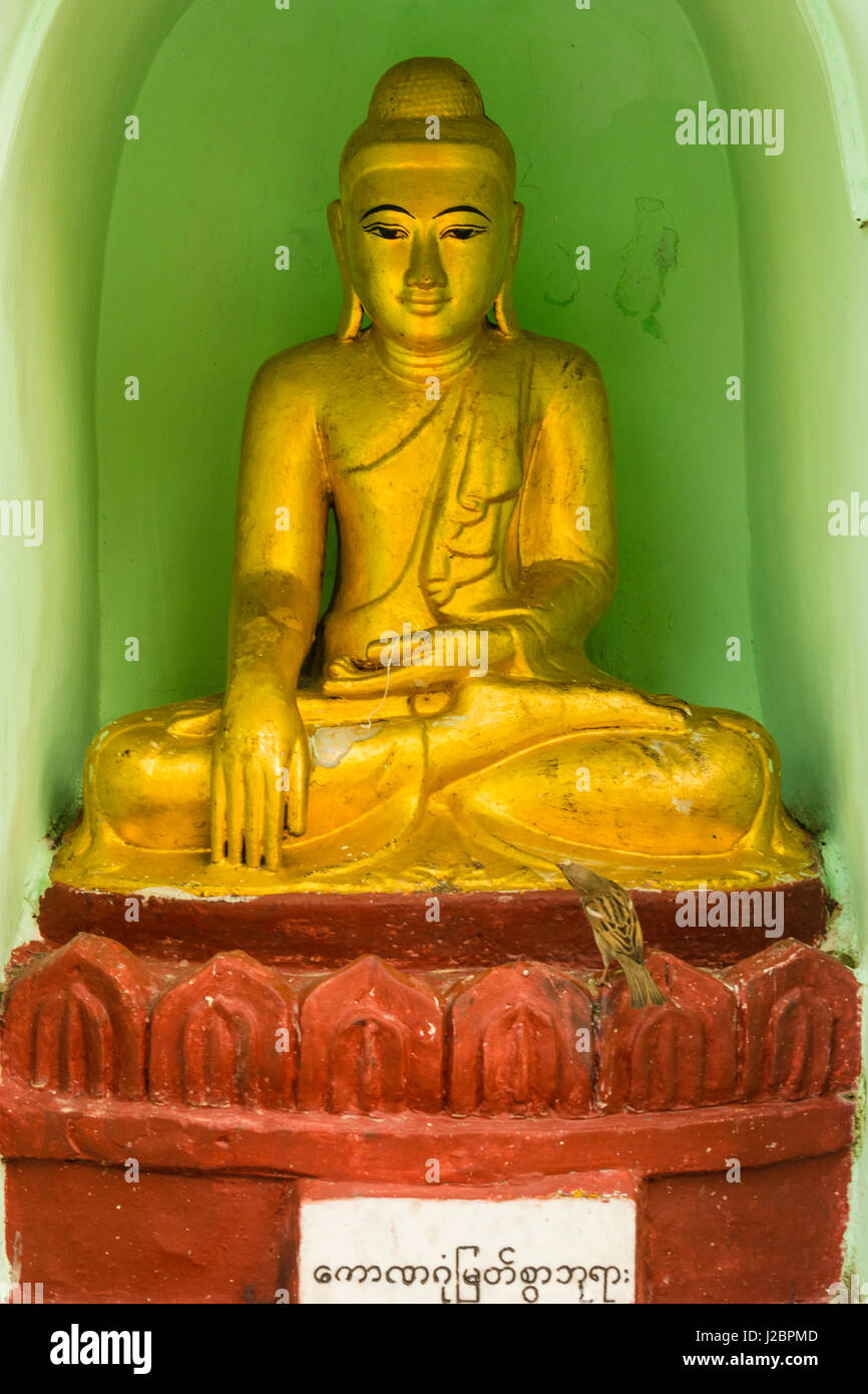 Myanmar. Yangon. Shwedagon Pagoda Small bird visits a Buddha statue in ...