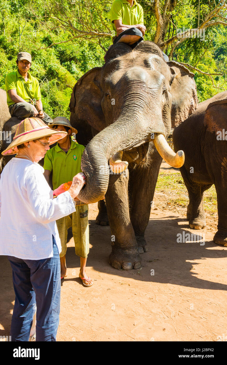 Myanmar. Shan State. Near Kalaw. Green Hill Valley Elephant Camp ...