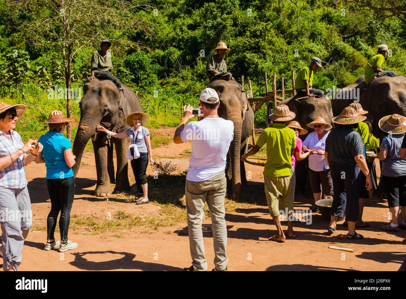 Myanmar. Shan State. Near Kalaw. Green Hill Valley Elephant Camp ...