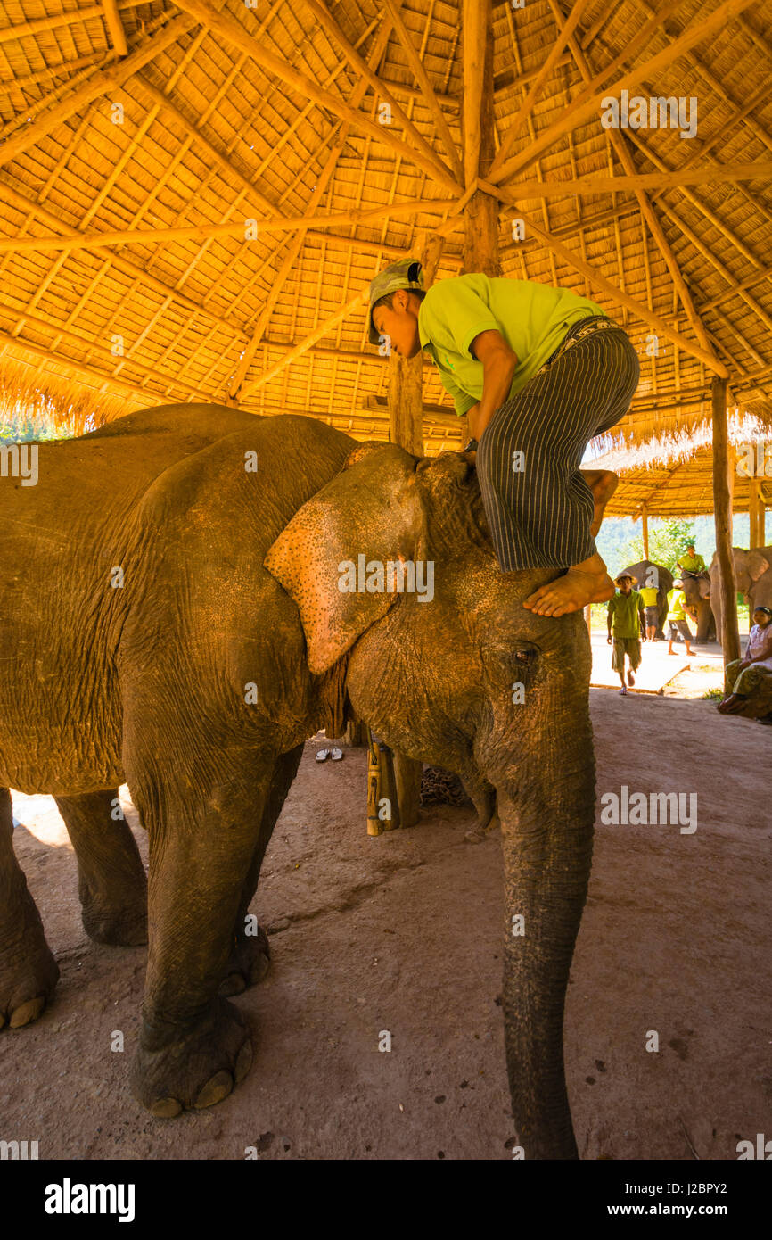 Myanmar. Shan State. Near Kalaw. Green Hill Valley Elephant Camp ...