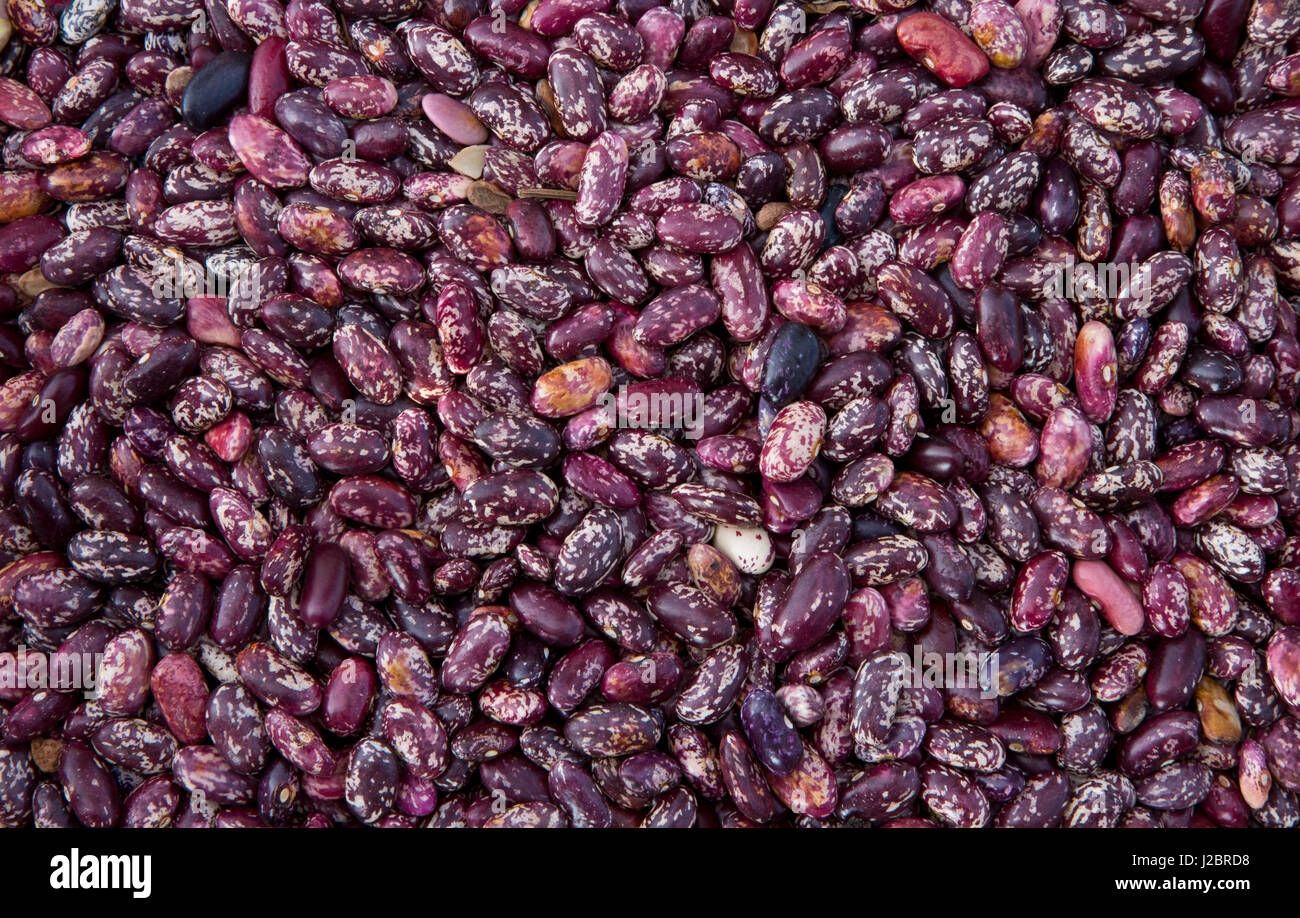 Different Beans on display and sale in the Dongchuan Red Lands of ...