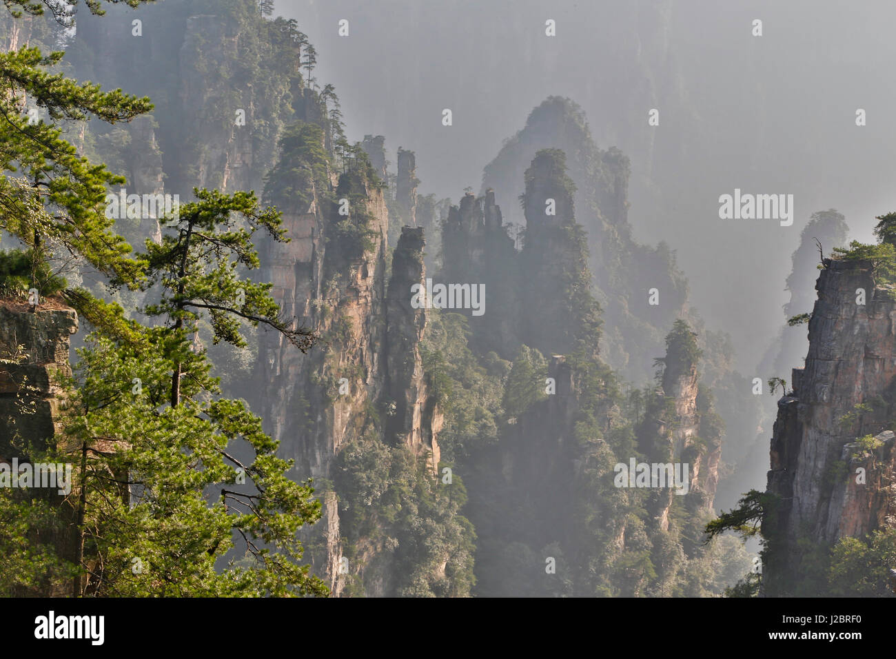 Hallelujah Mountains China, Wulingyuan District, Landscape and many ...