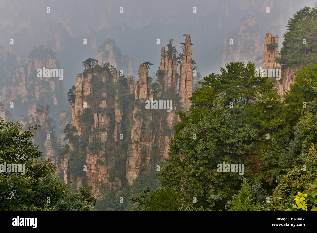 Hallelujah Mountains China, Wulingyuan District, Landscape and many ...