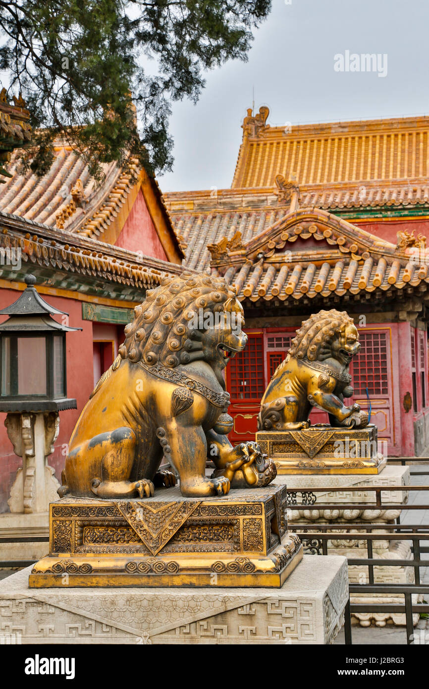 Lion statue standing guard Forbidden City, Beijing. The Imperial Palace ...