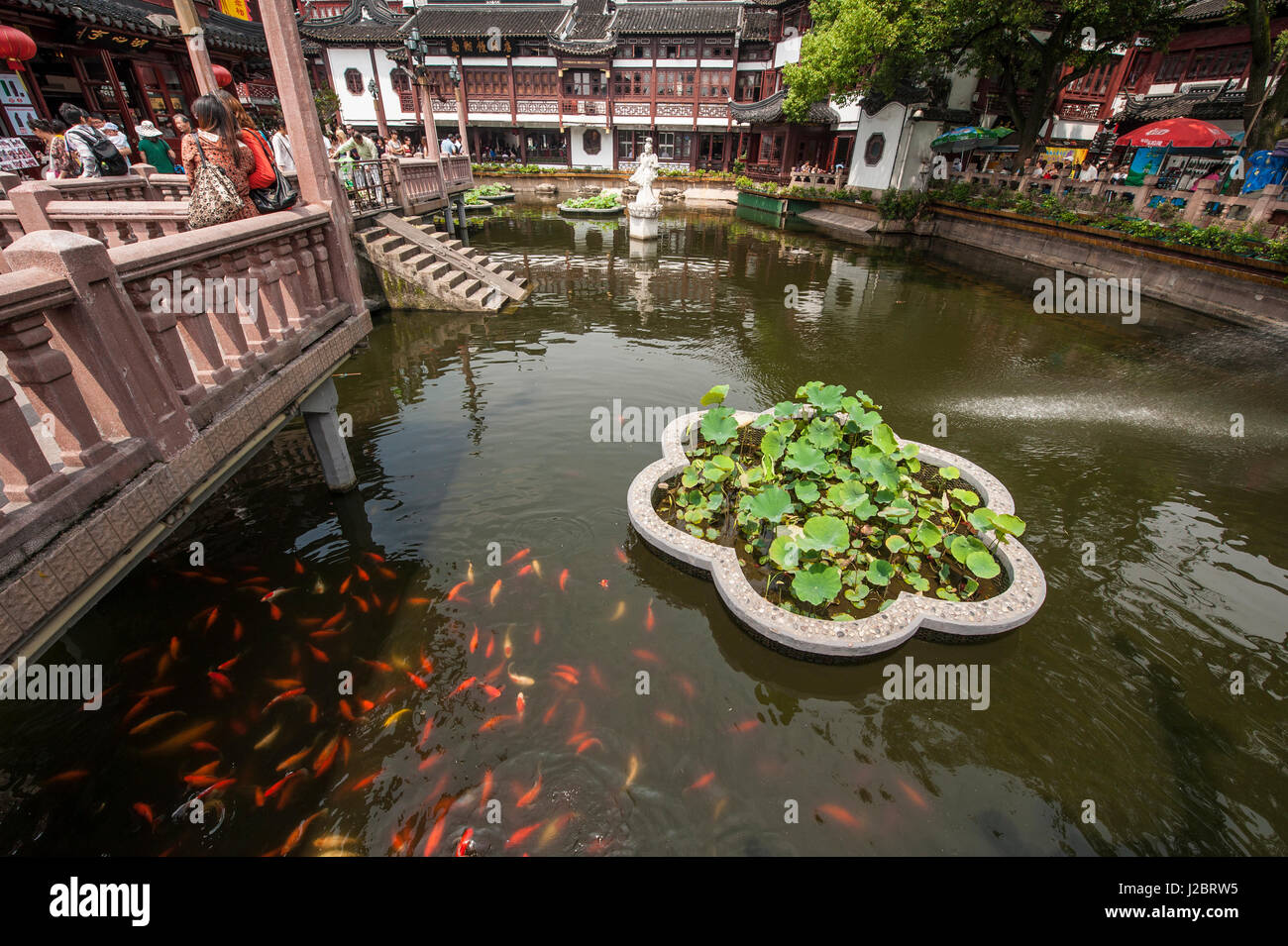 Koi pond Chenghuang Miao (City God Temple) Shanghai, China Stock Photo ...