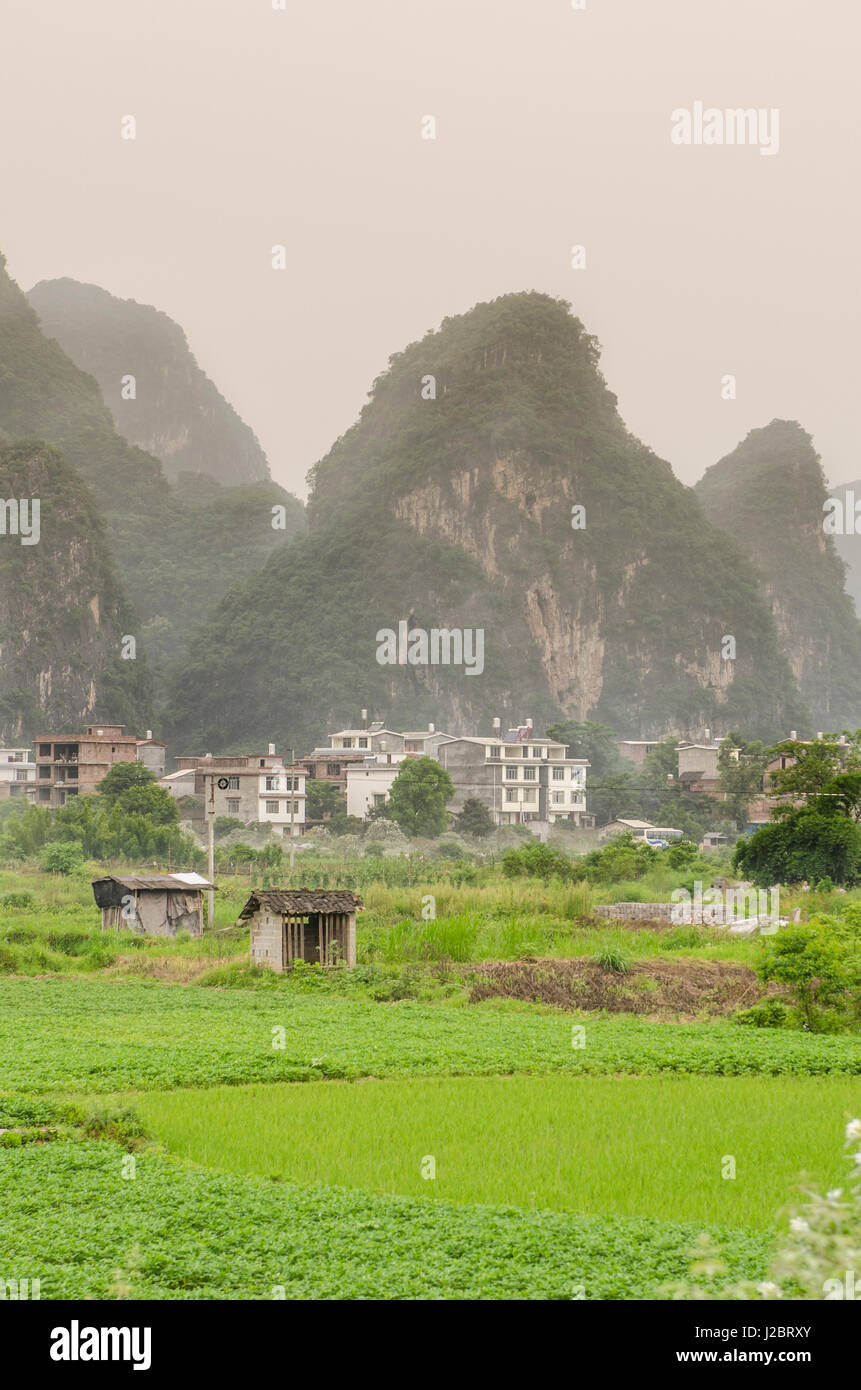 Rice fields, Guilin, China Stock Photo - Alamy
