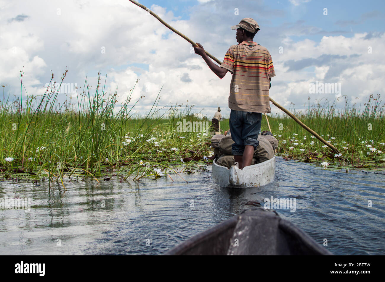 Mokoro Canoe Trip in the Okavango Delta near Maun, Botswana Stock Photo ...