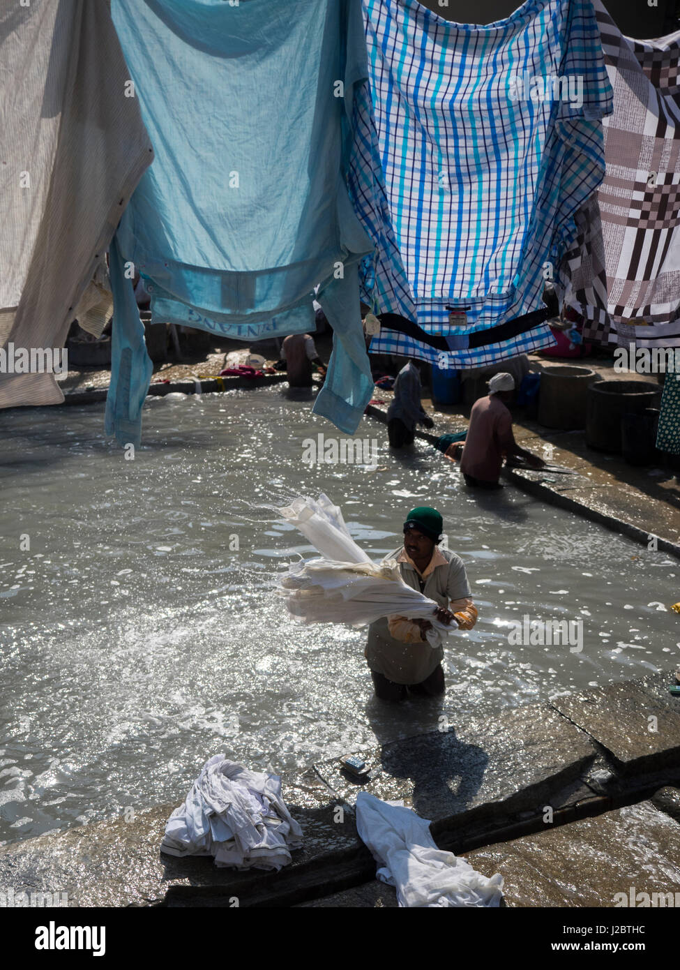 Man washing clothes in pond, Bangalore, Karnataka, India Stock Photo ...