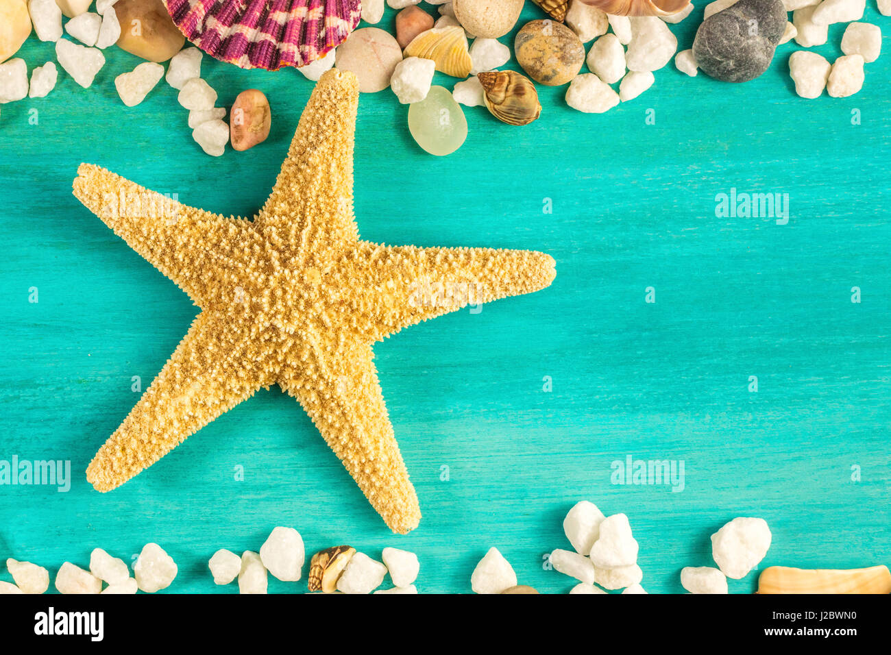 An overhead photo of a sea star, sea shells, and pebbles forming a ...