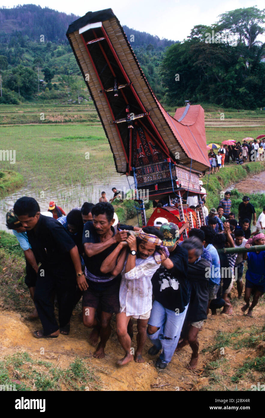 Indonesia, Sulawesi, Tana Toraja Region. Coffin carried to grave in ...